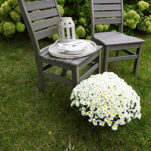 Color Visualizer – Paradise Outdoor Designs